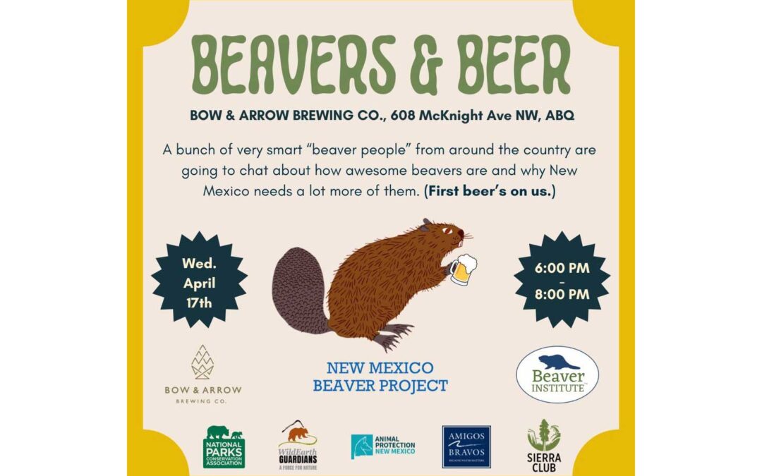 New Mexico Beaver Project
