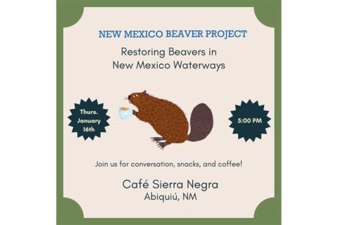 New Mexico Beaver Project